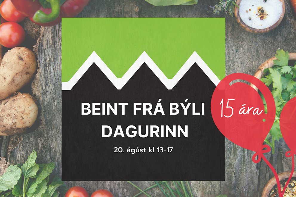 15 ára afmælishátíð Beint frá býli í Holtseli | akureyri.net