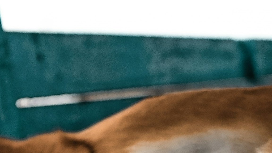 Hundar í hitasjokki á Akureyri | akureyri.net