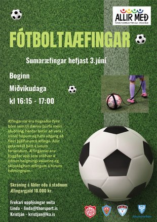 Skógarbotnsplöntur í íslenskum skógum | akureyri.net